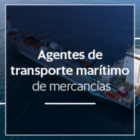 Agency – Trafimar